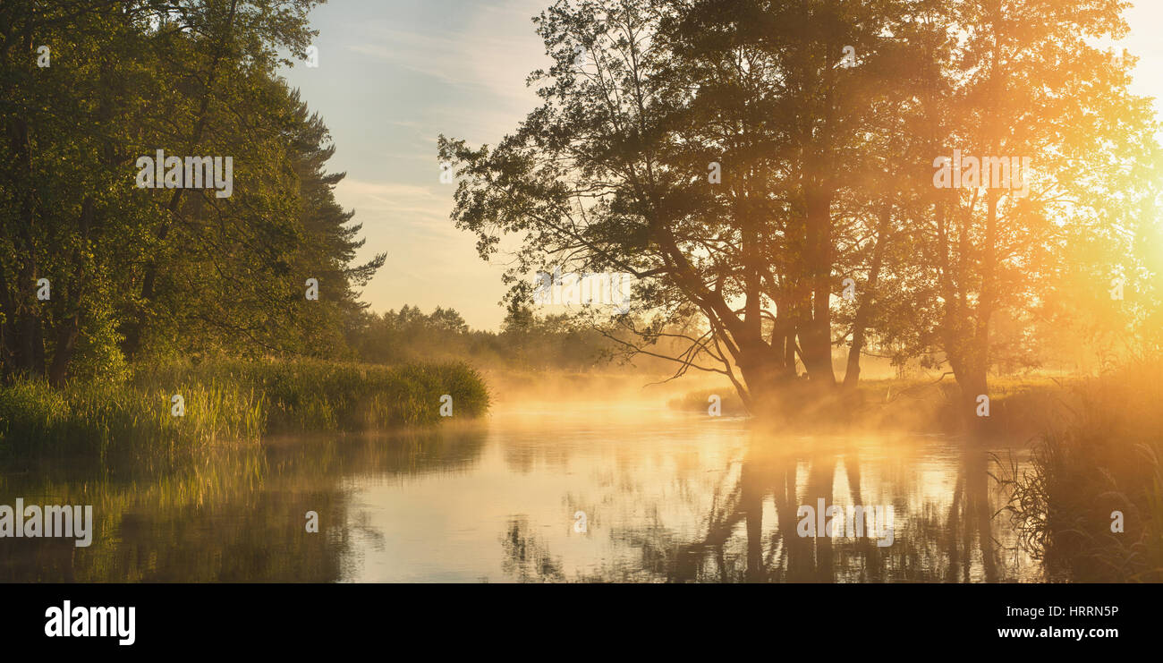 Warm yellow morning sun hi-res stock photography and images - Alamy