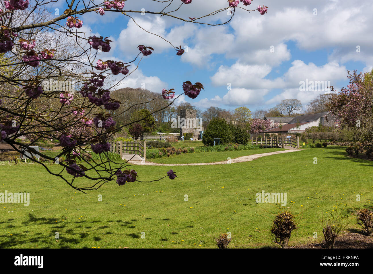 Rushen Abbey, Ballasalla, Isle of Man Stock Photo - Alamy