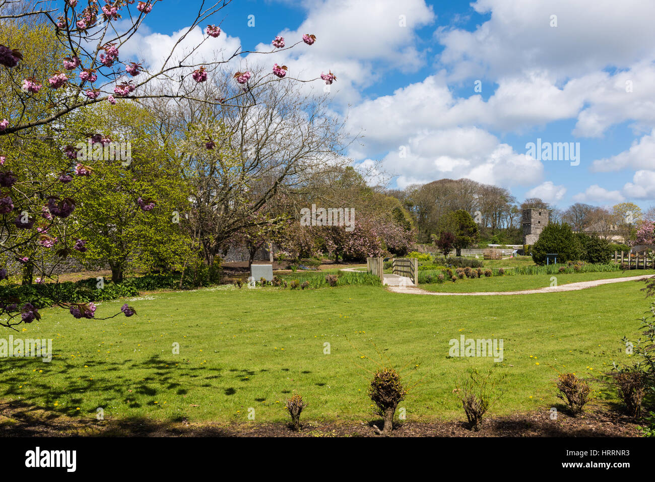 Rushen Abbey, Ballasalla, Isle of Man Stock Photo - Alamy