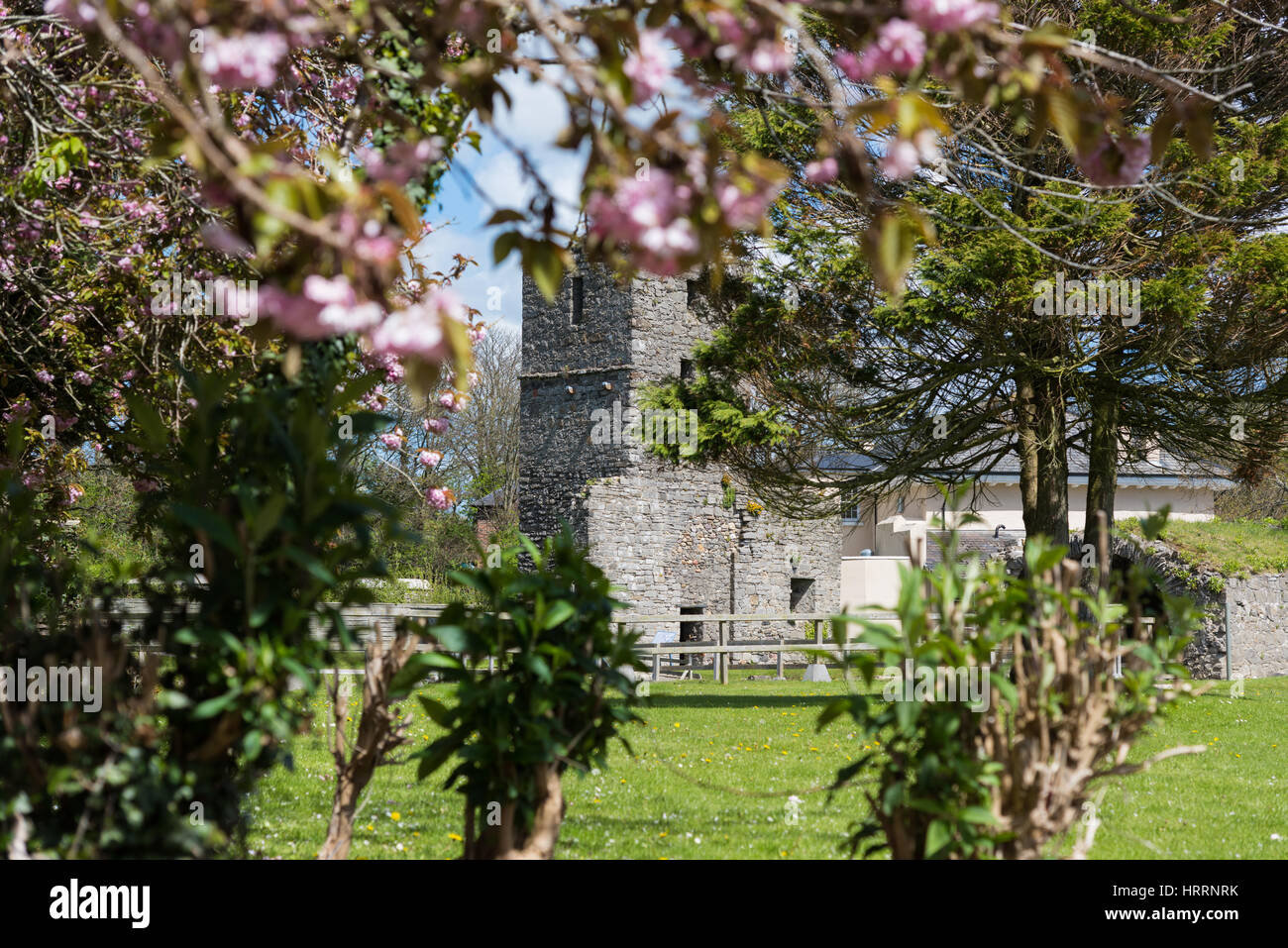Rushen Abbey, Ballasalla, Isle of Man Stock Photo - Alamy