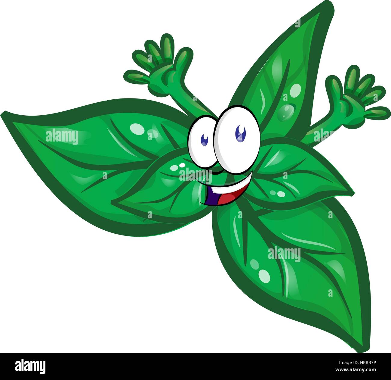 basil cartoon isolated on white background Stock Vector Image & Art - Alamy