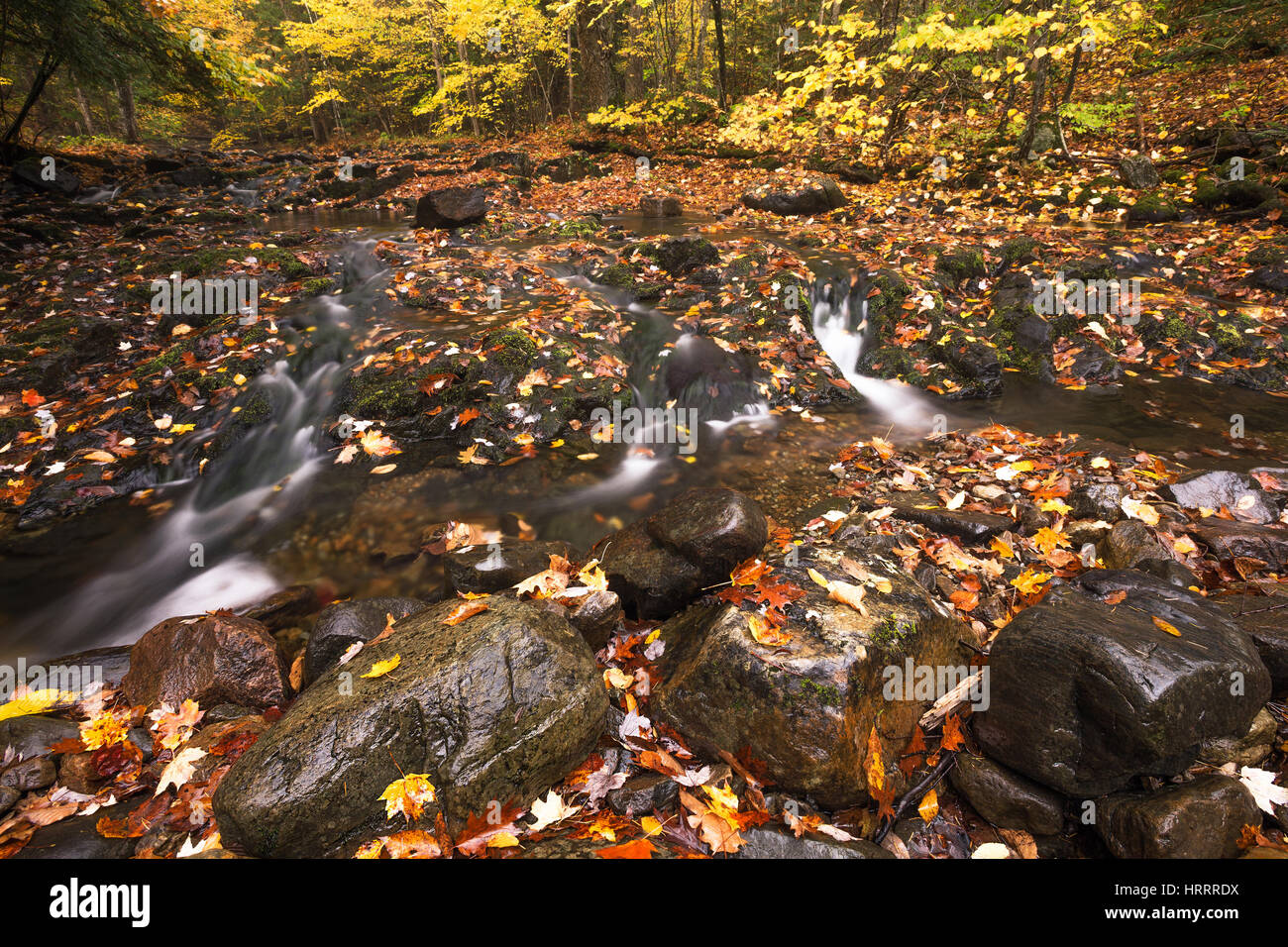 Adirondack mountain hi-res stock photography and images - Alamy