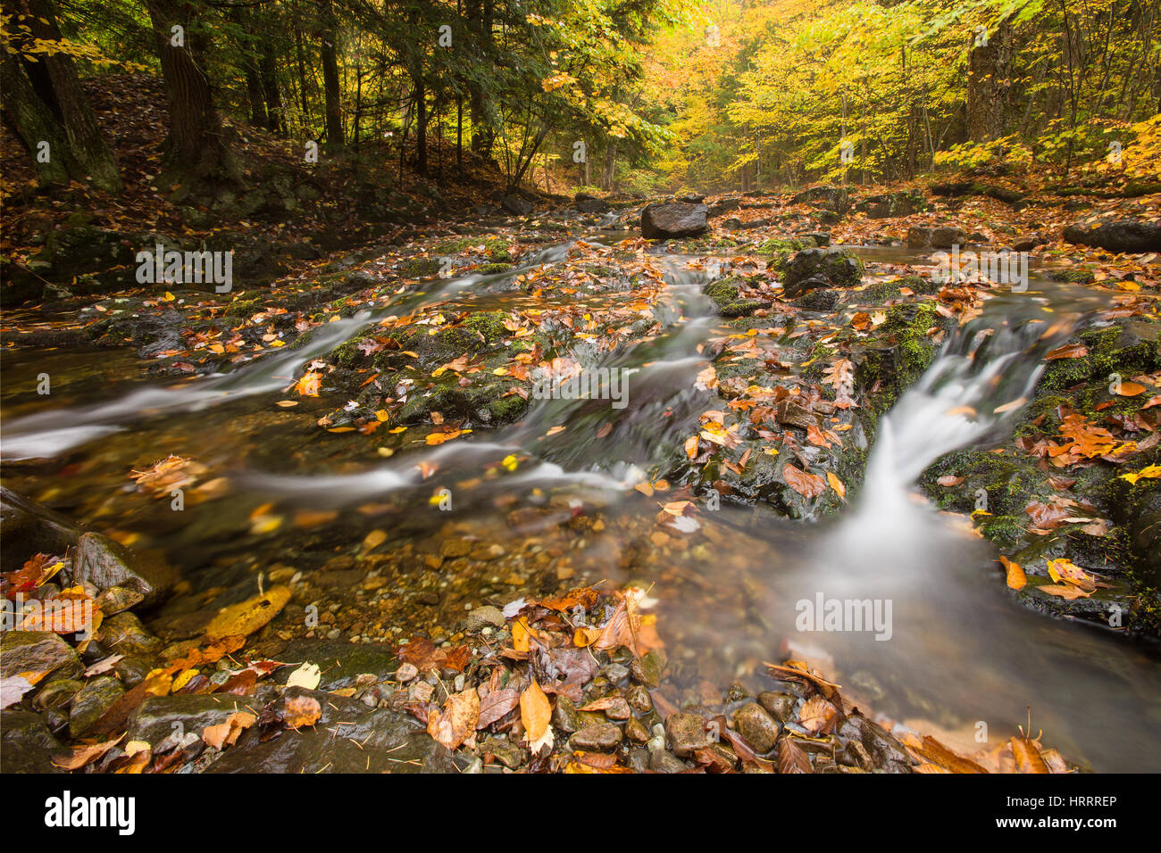 Albany creek hi-res stock photography and images - Alamy