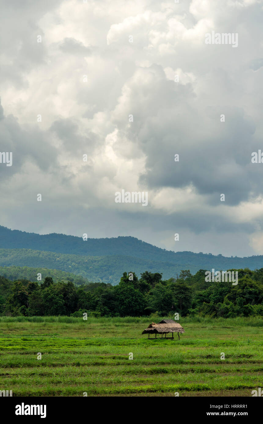 Hut on field hi-res stock photography and images - Alamy