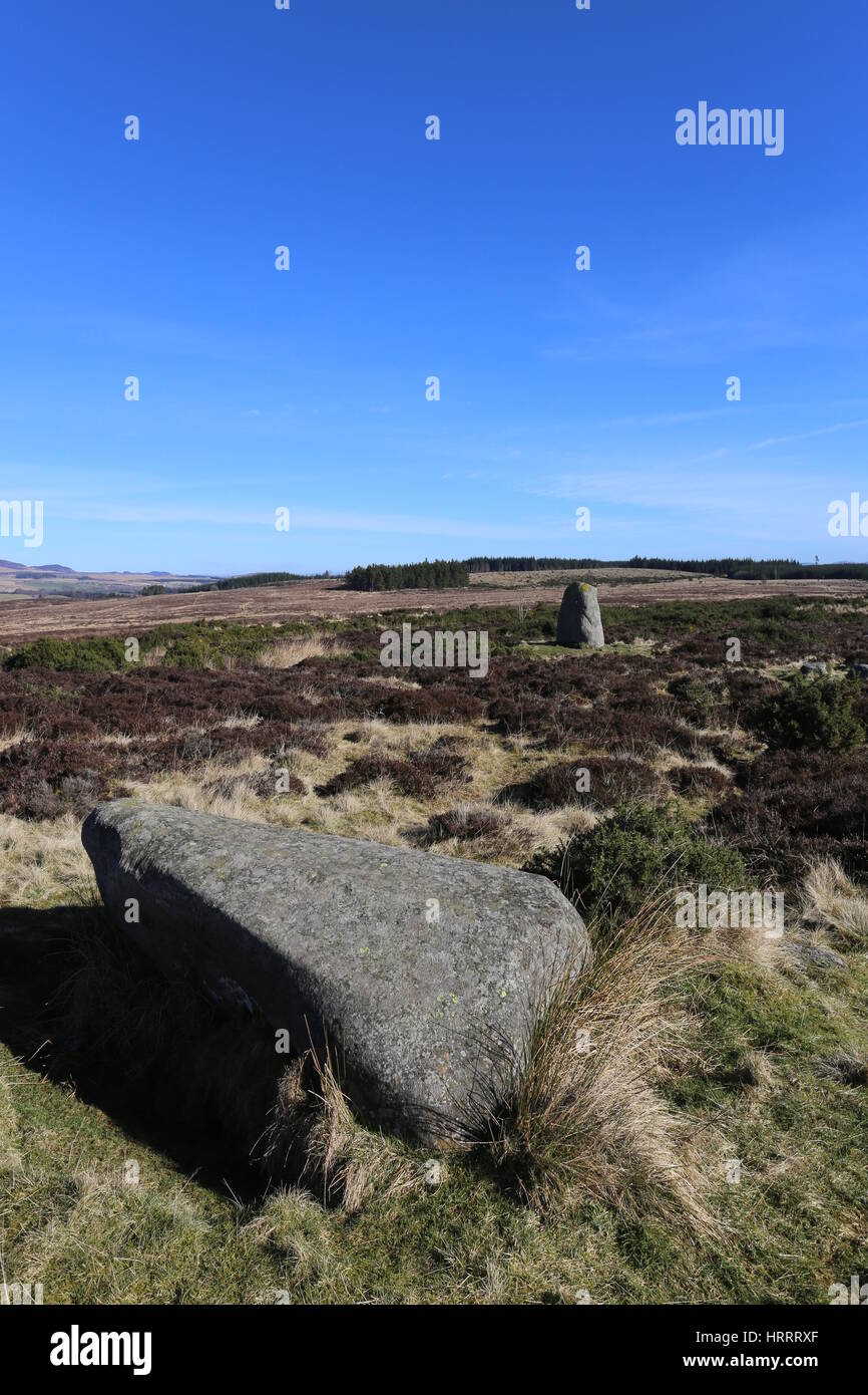 Scottish standing stone hi-res stock photography and images - Alamy