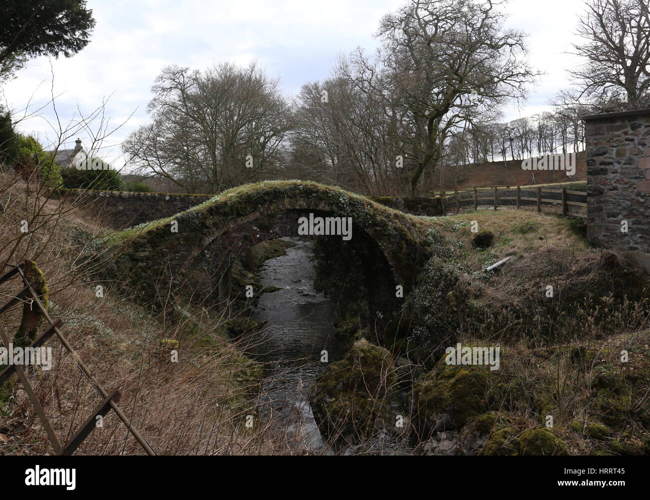 Shaggie burn hi-res stock photography and images - Alamy