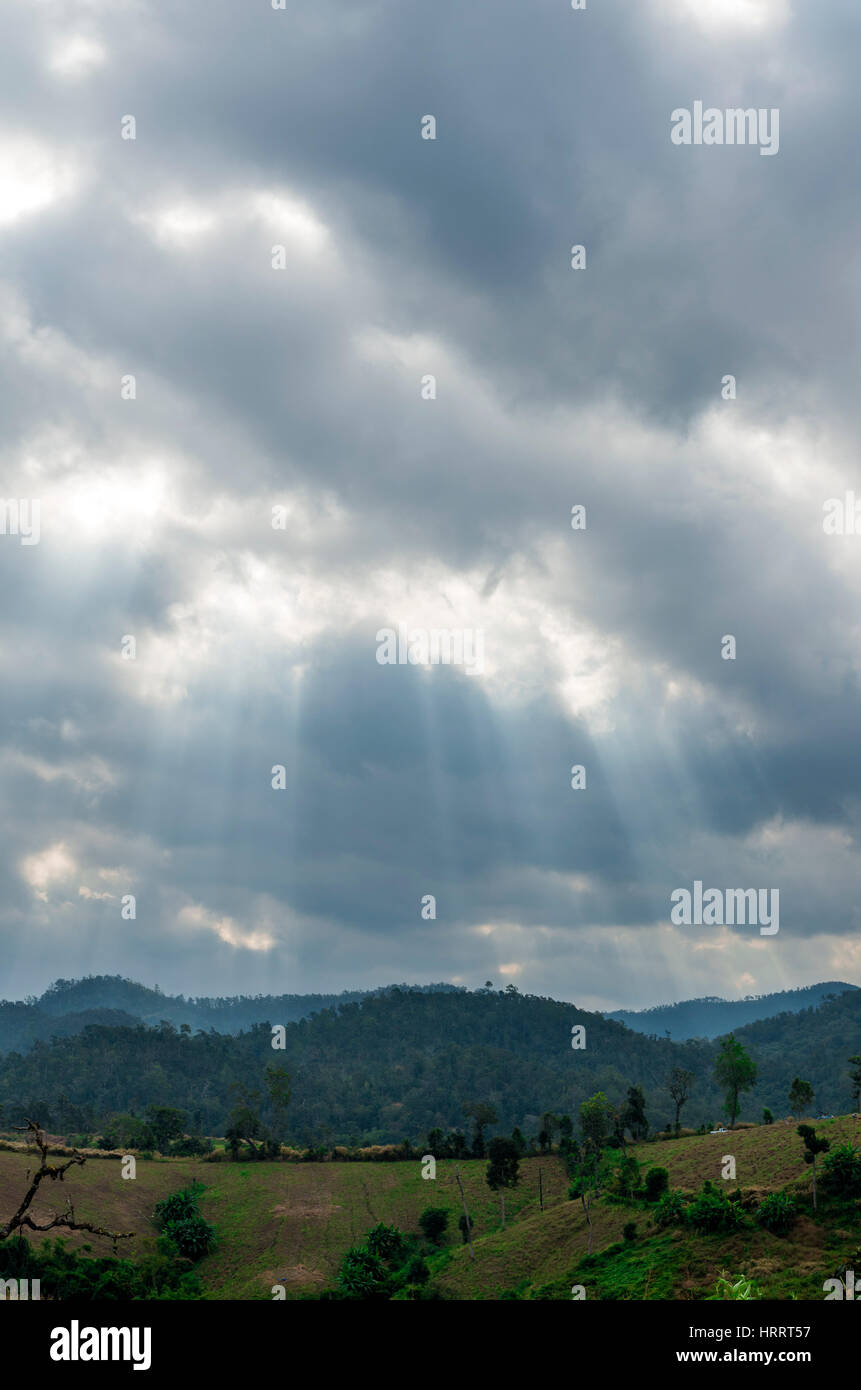 Vegetation scattered hi-res stock photography and images - Alamy