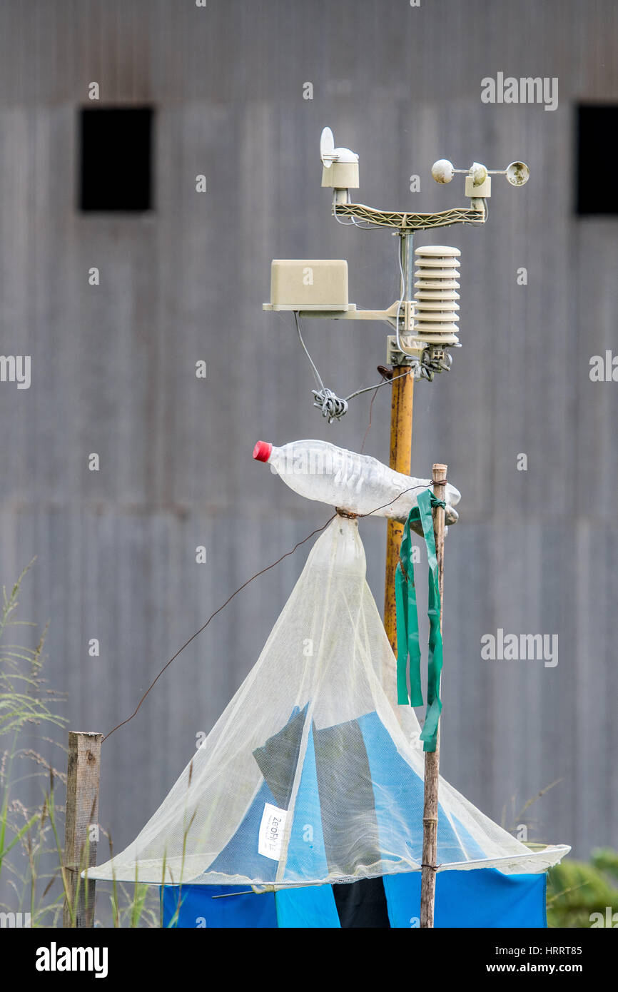 A weather station and an insect trap are set up on a coffee farm in San ...