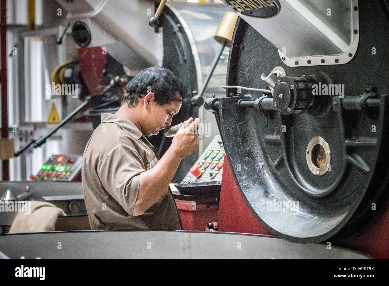 A coffee worker tending to equipment while working with roasted coffee ...