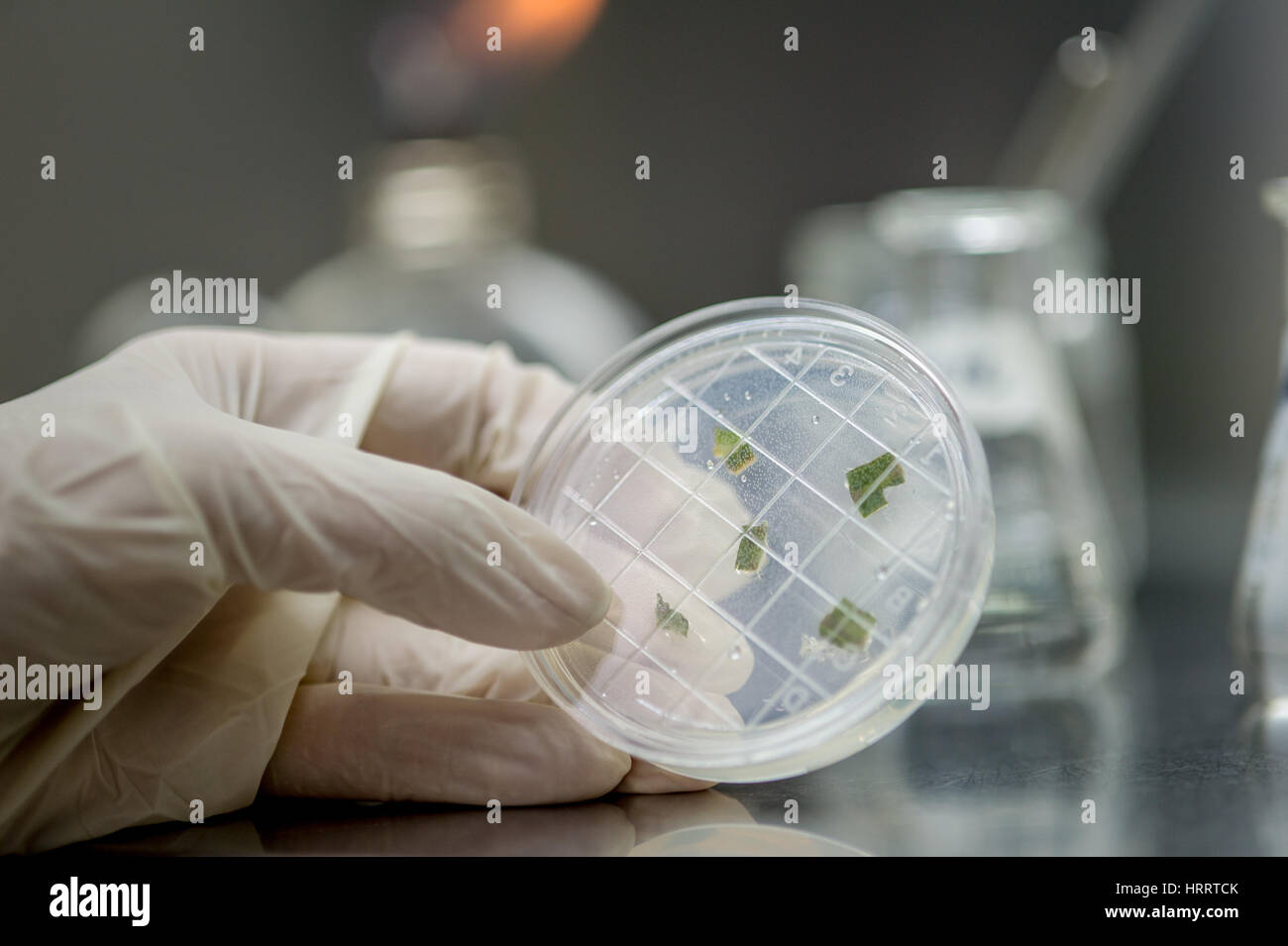 Sample container hi-res stock photography and images - Alamy