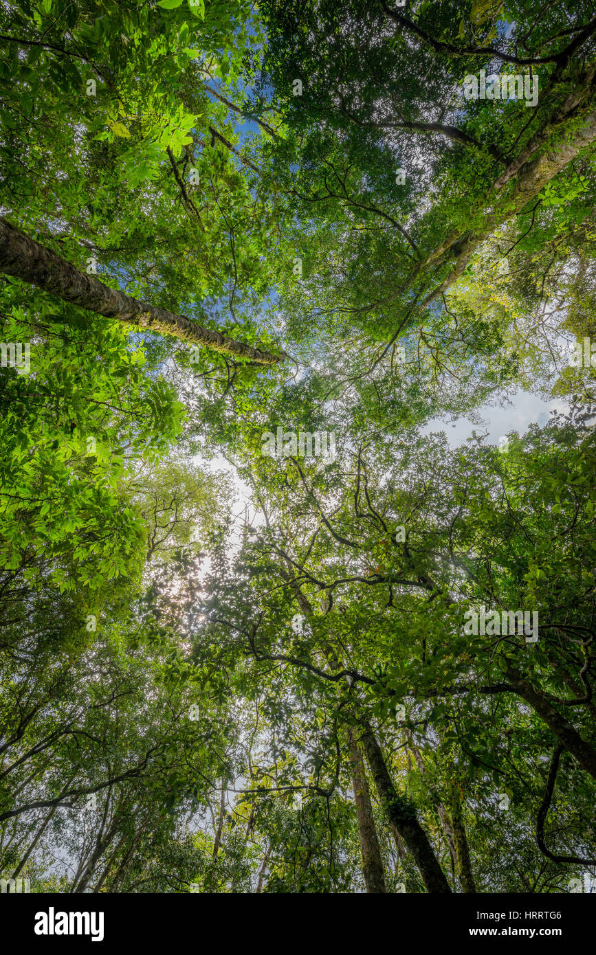 Marcos costa hi-res stock photography and images - Alamy