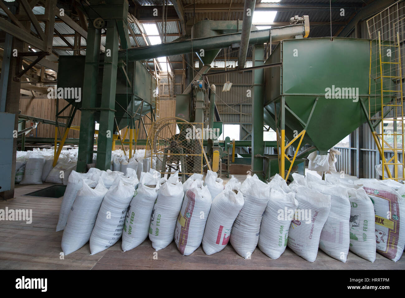 Coffee beans sit packed together in bags at a coffee processing plant ...