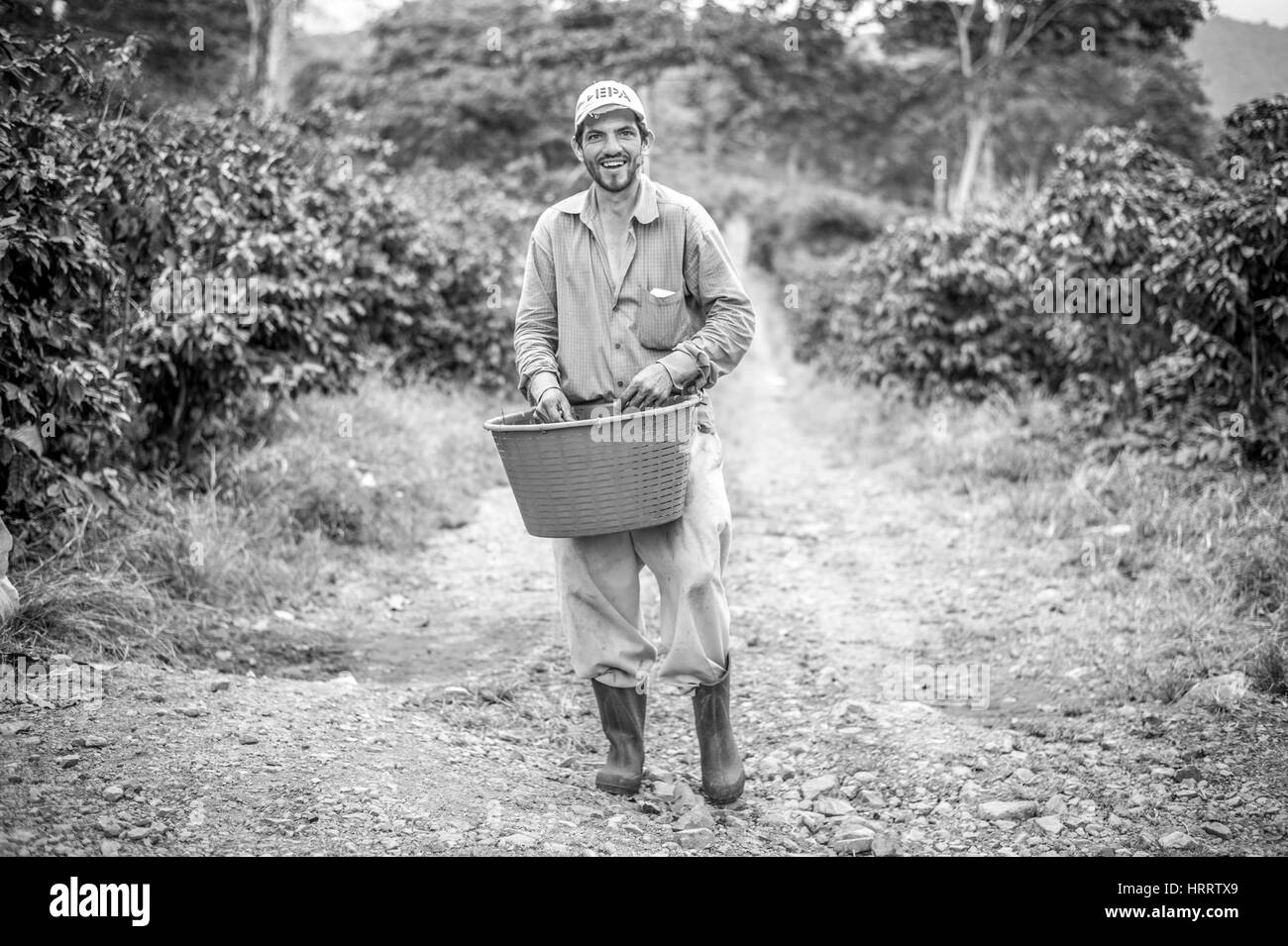 A coffee worker poses for a photograph on a coffee farm in Aquires ...