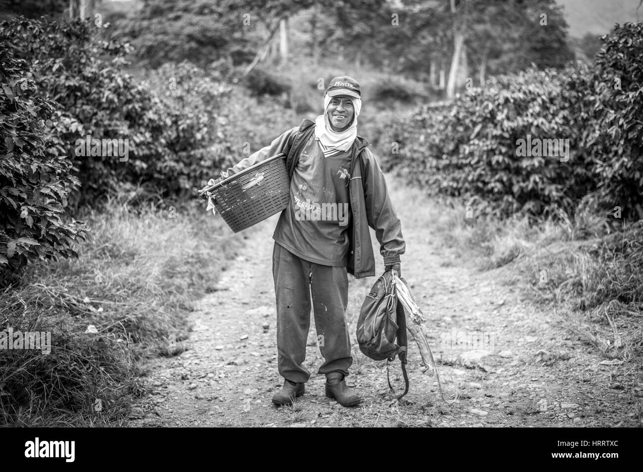 A coffee worker poses for a photograph on a coffee farm in Aquires ...