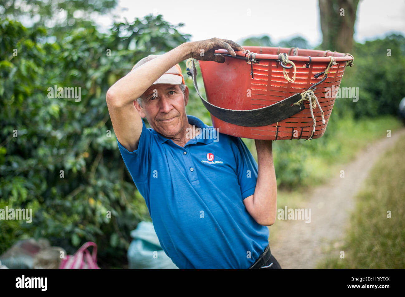 A coffee worker poses for a photograph on a coffee farm in Aquires ...