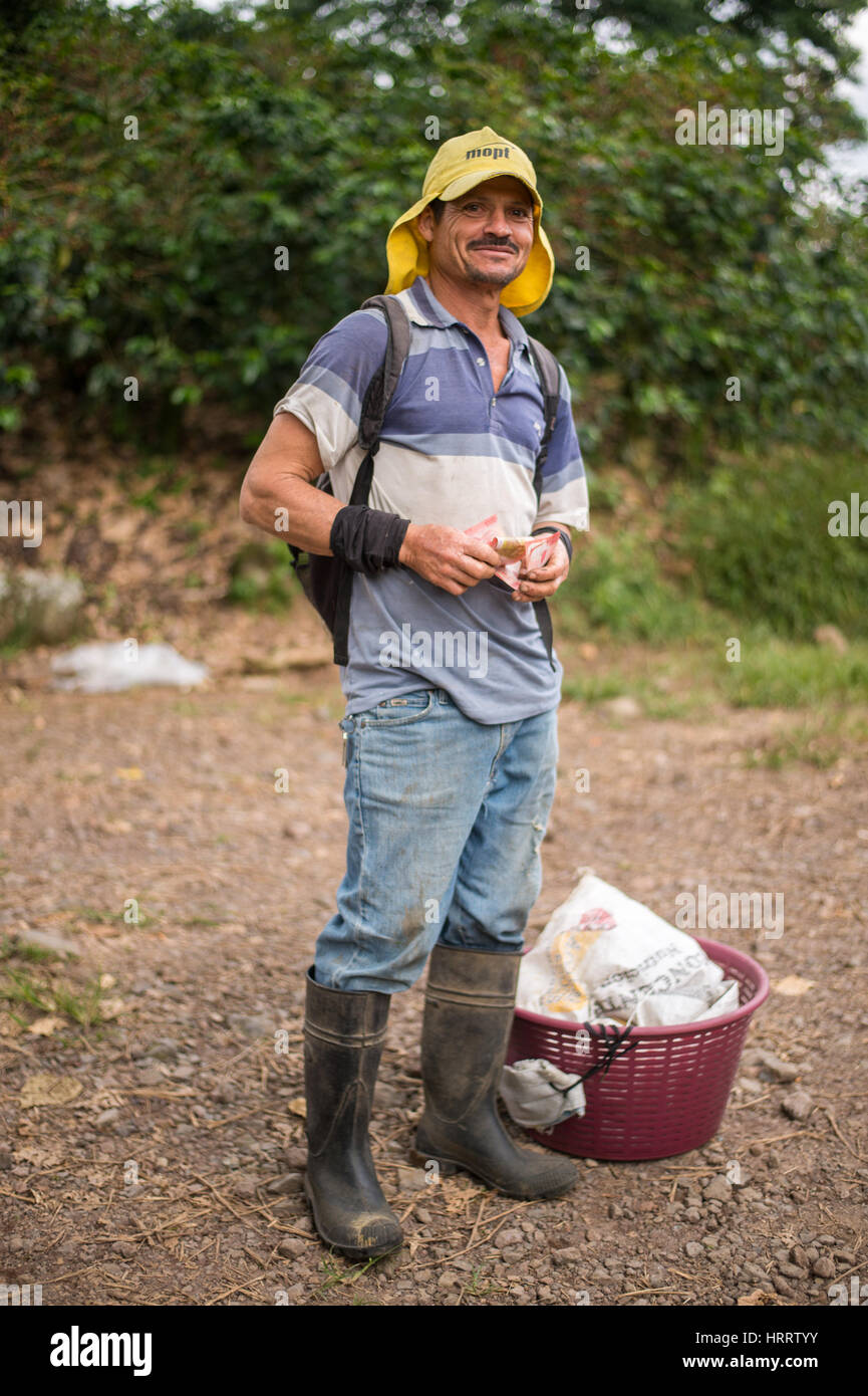 A coffee worker poses for a photograph on a coffee farm in Aquires ...