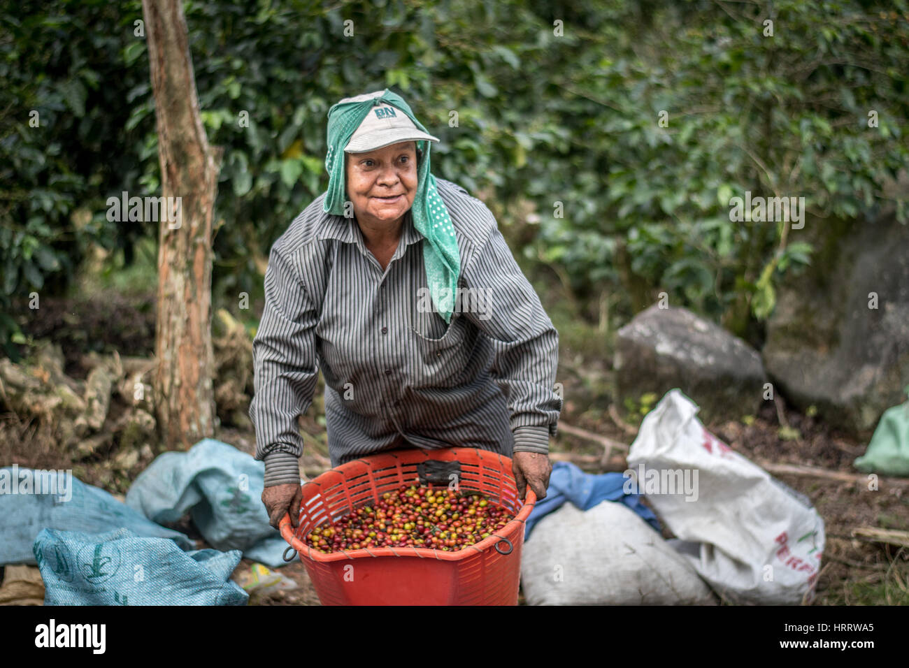 Transporting coffee hi-res stock photography and images - Alamy