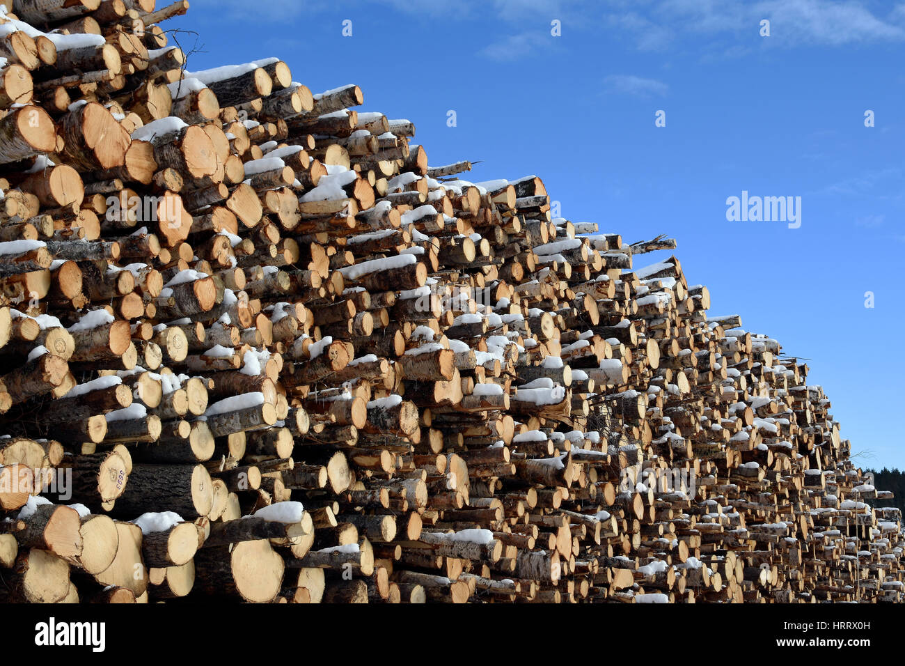 Wooden logs picture hi-res stock photography and images - Alamy