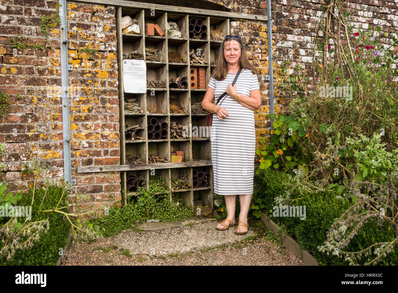 An Insect hotel for bees and bugs built into the brick wall of a house ...