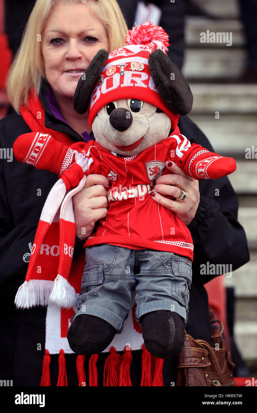 Boro bear hi-res stock photography and images - Alamy
