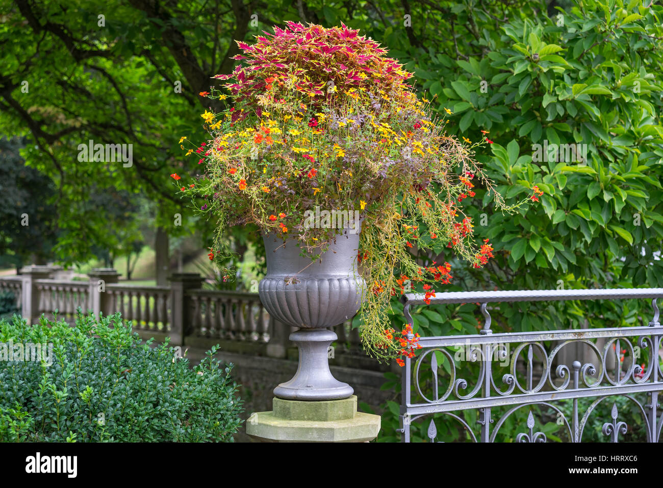 Big flower pot hi-res stock photography and images - Alamy
