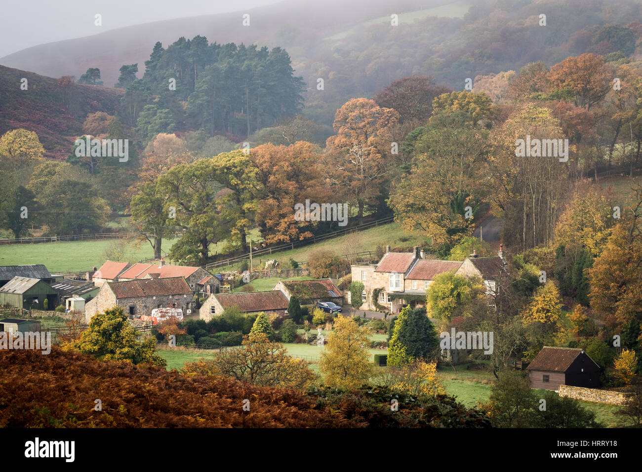 Dibble Bridge Farm in Autumn, near Castleton, North York Moors National ...