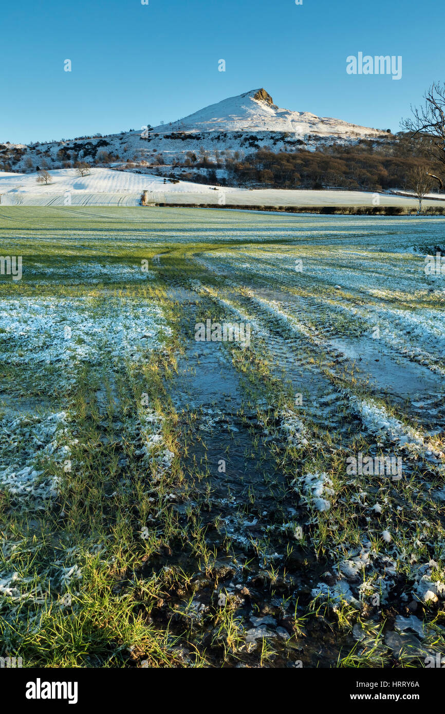 Frozen Field and Roseberry Topping from Newton under Roseberry Stock ...