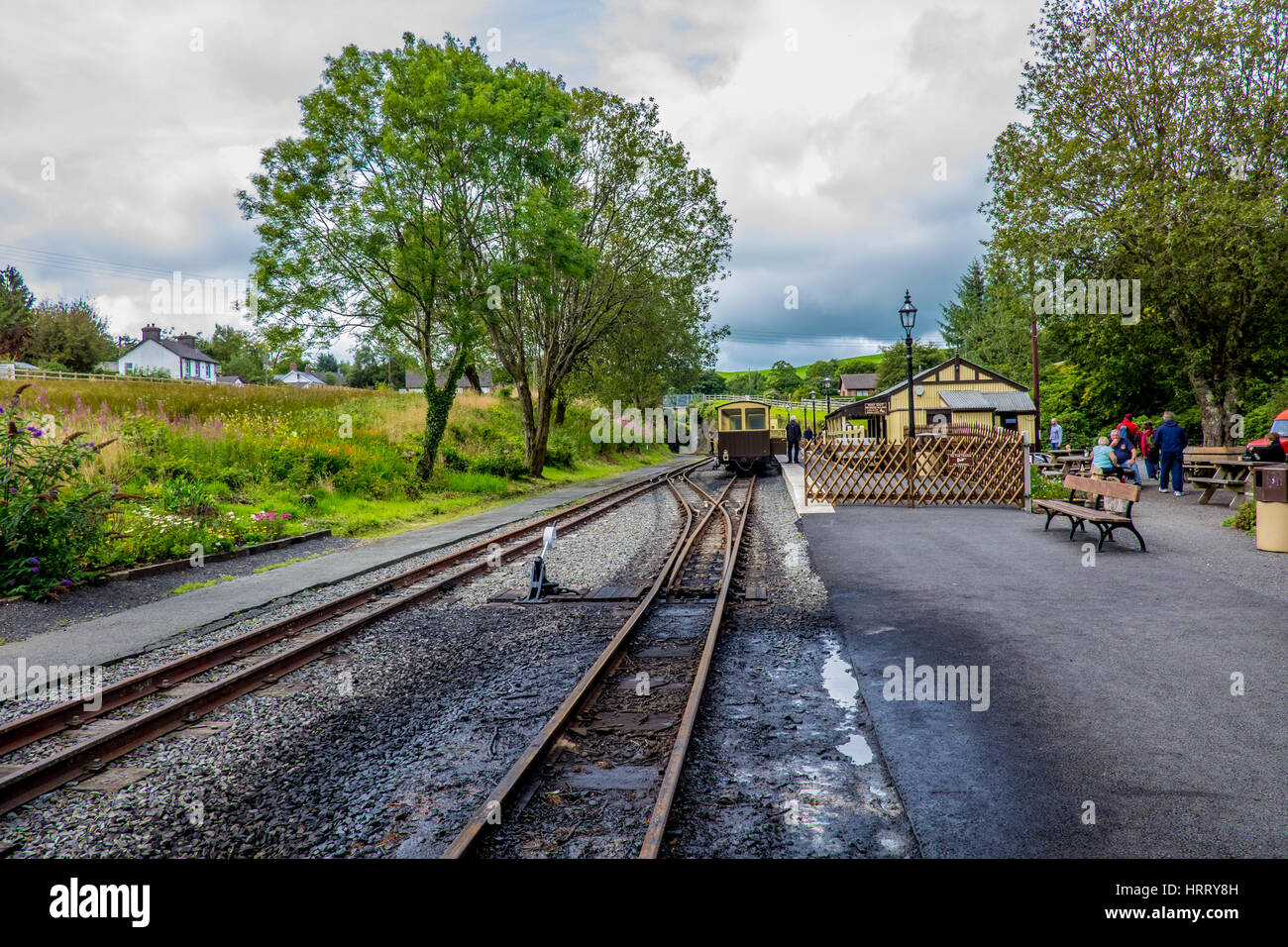 Vale of rheidol steam train hi-res stock photography and images - Alamy