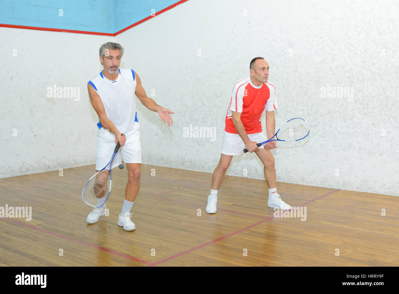 Squash sport competition hi-res stock photography and images - Alamy