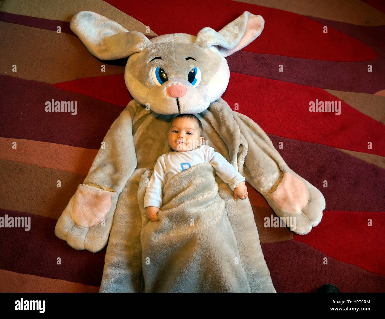 Baby Boy inside a big rabbit peluche Stock Photo - Alamy