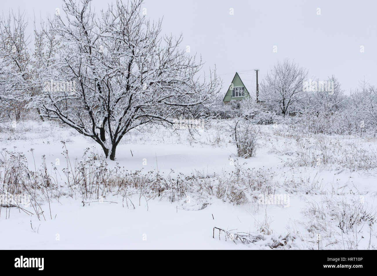 Ukrainian peasant's house lost in snow at winter season Stock Photo - Alamy
