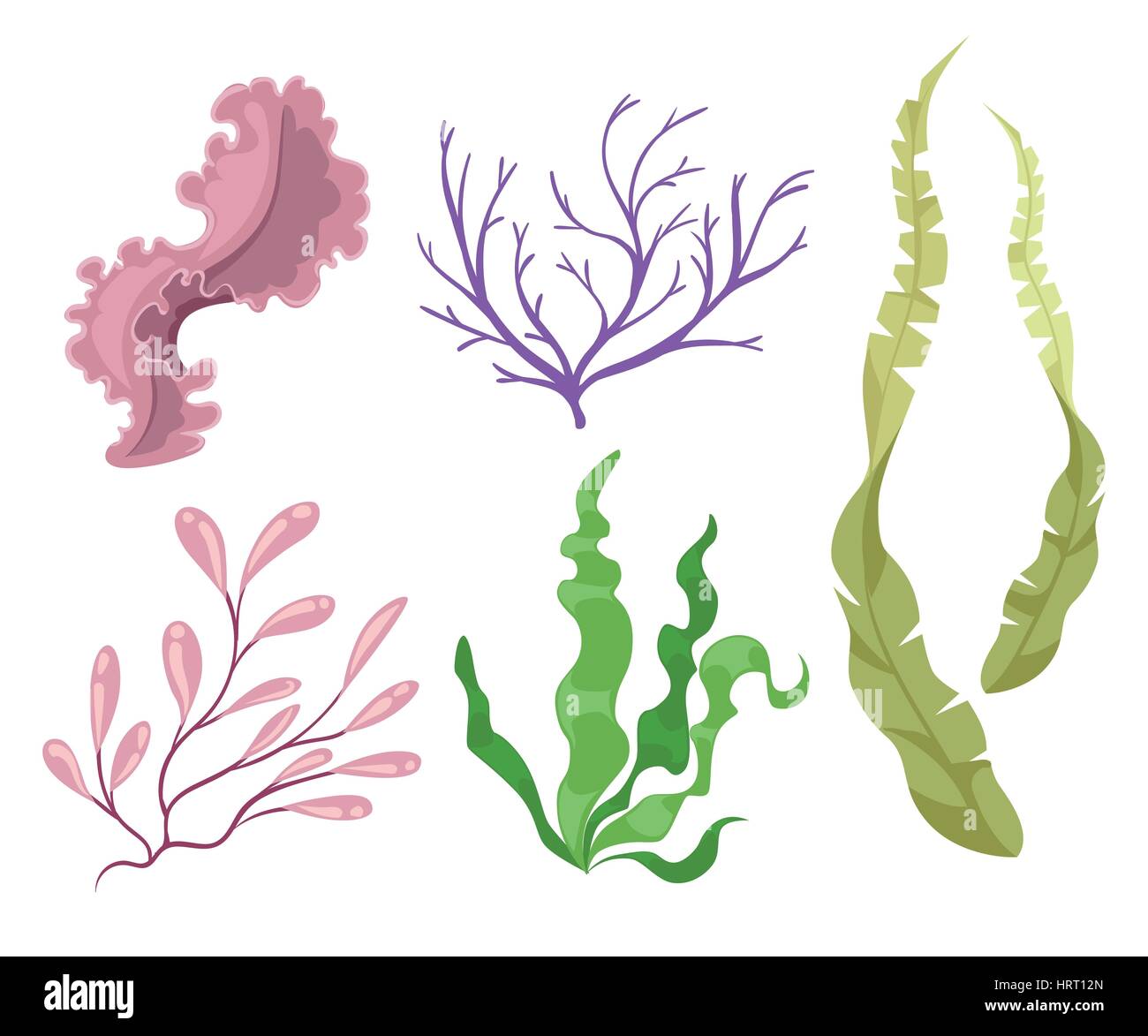 Sea plants and aquatic marine algae Seaweed set vector illustration ...