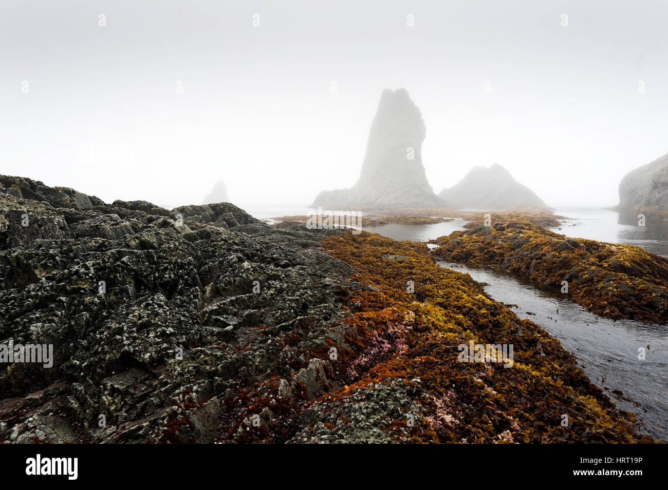 Urup - island of Kuriles Stock Photo - Alamy