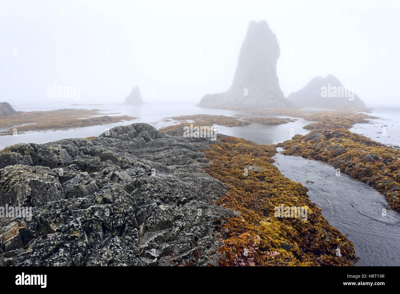 Urup - island of Kuriles Stock Photo - Alamy