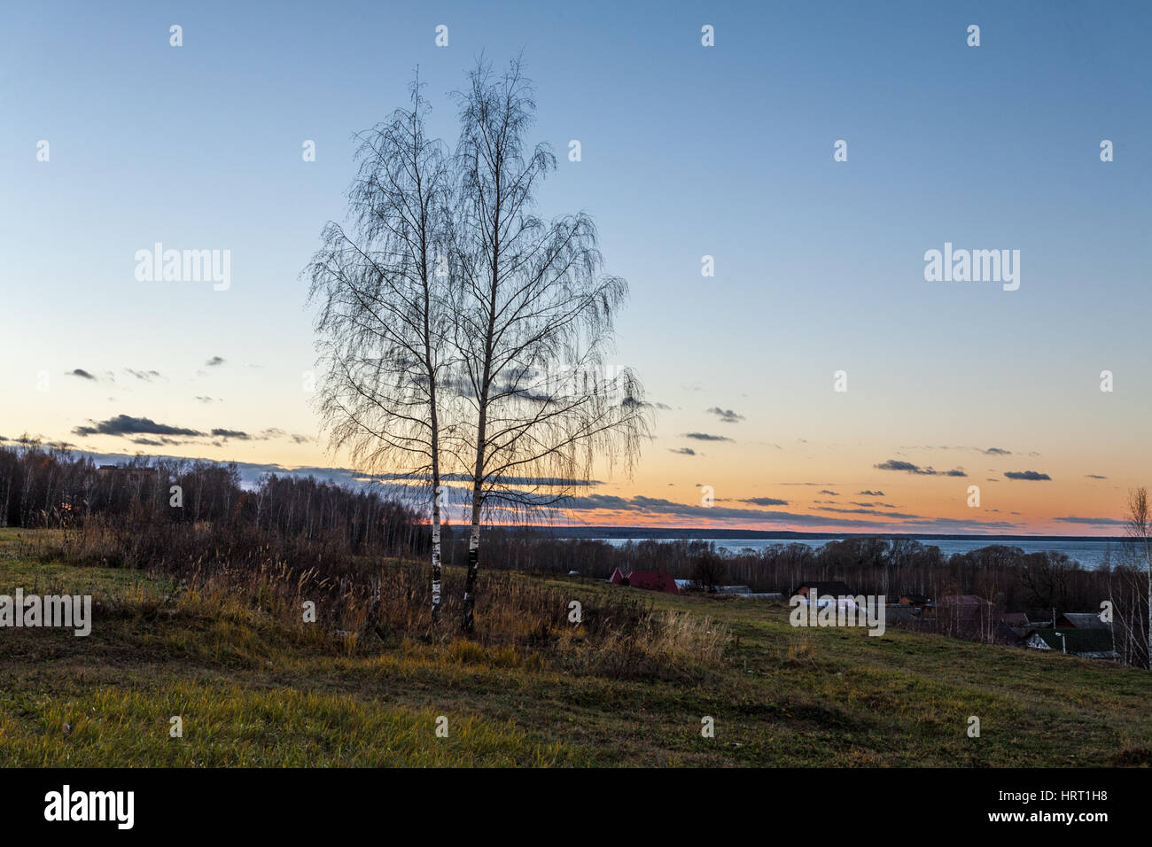 simple Russian landscape - two birches and an autumn decline against ...