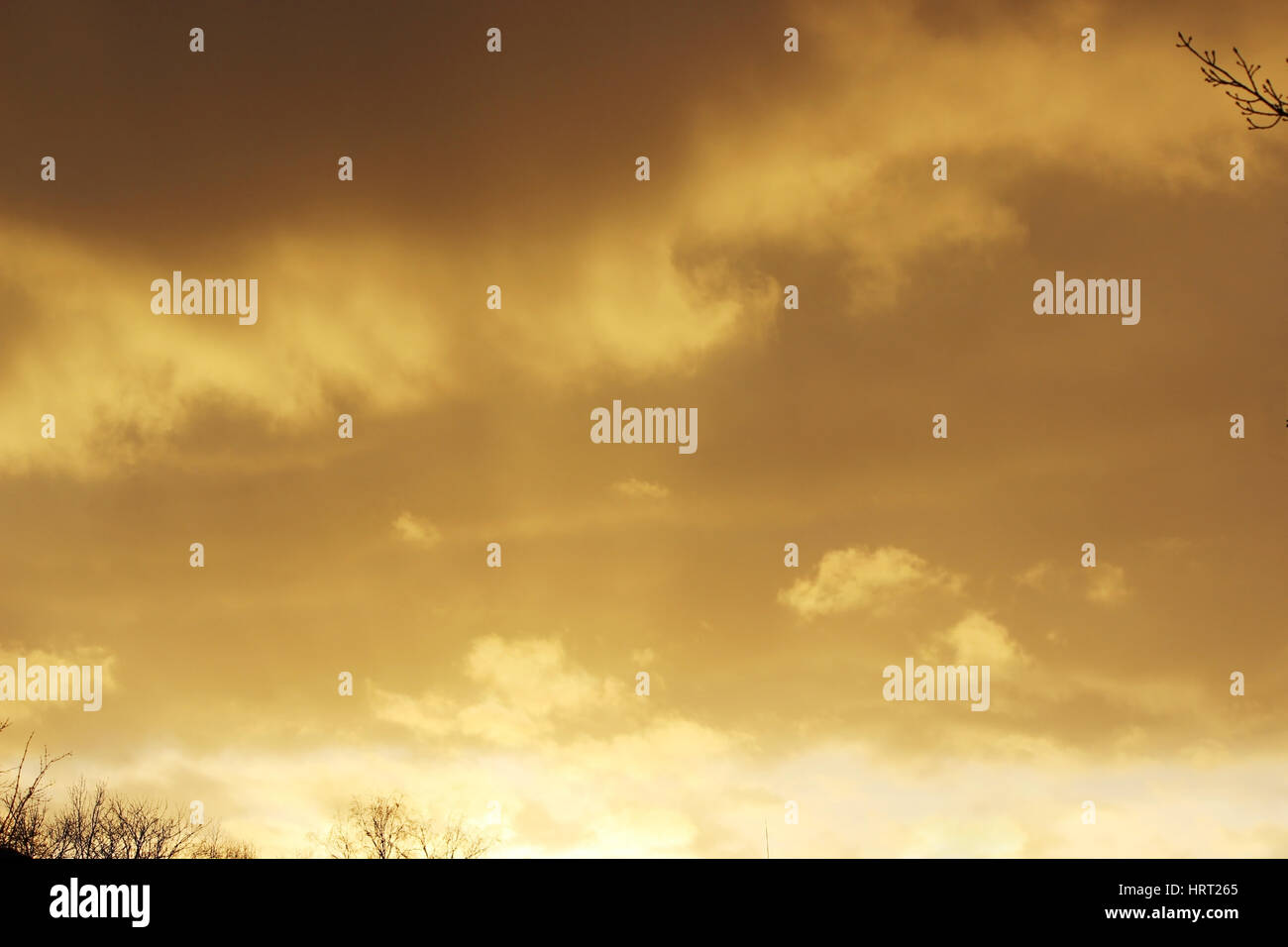 snow cloud painted in gold color of the setting of the spring sun Stock ...