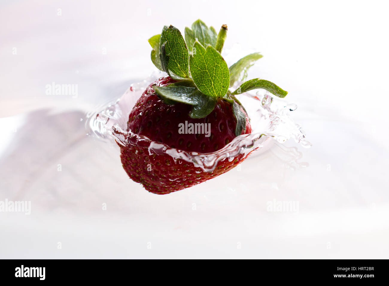 Single strawberry falling on water and creating a splash Stock Photo ...