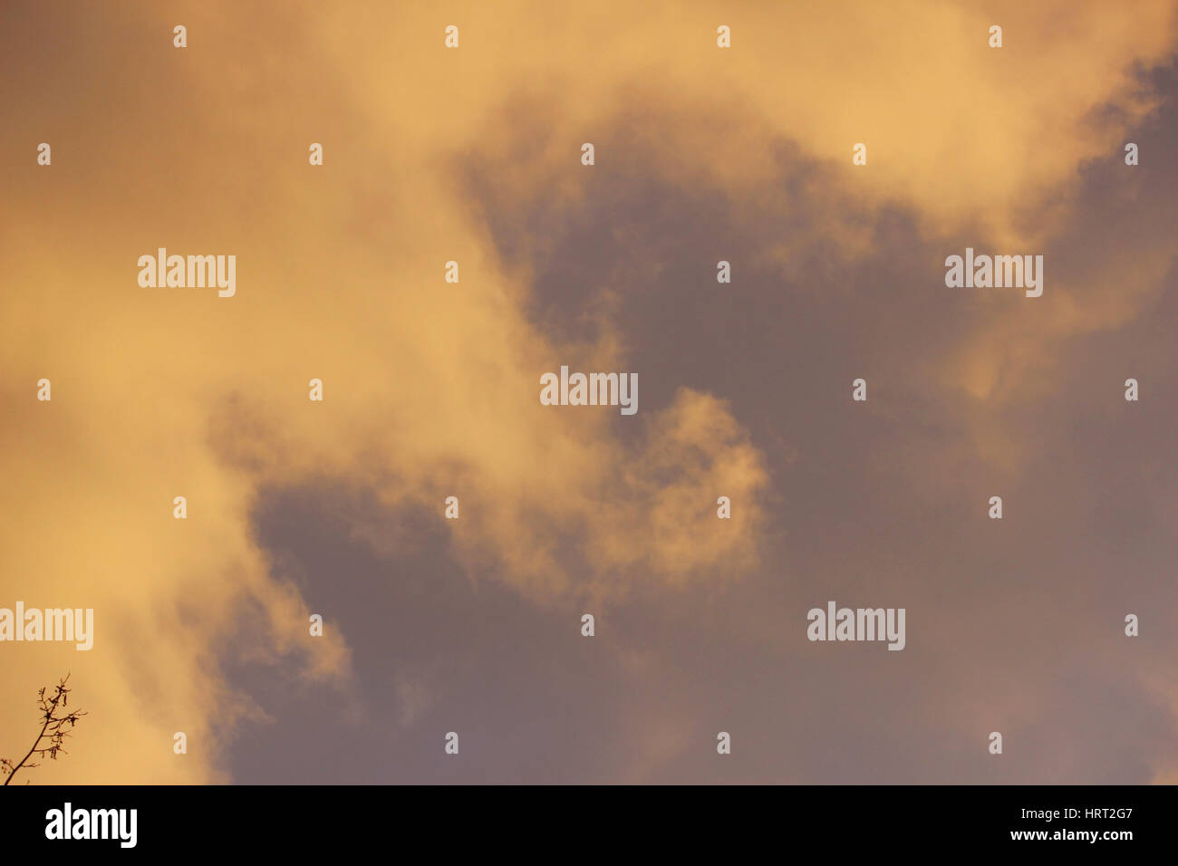 snow cloud painted in gold color of the setting of the spring sun Stock ...