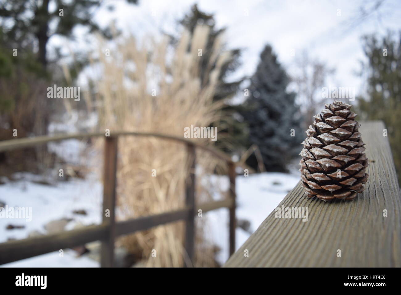 Magic cone hi-res stock photography and images - Alamy