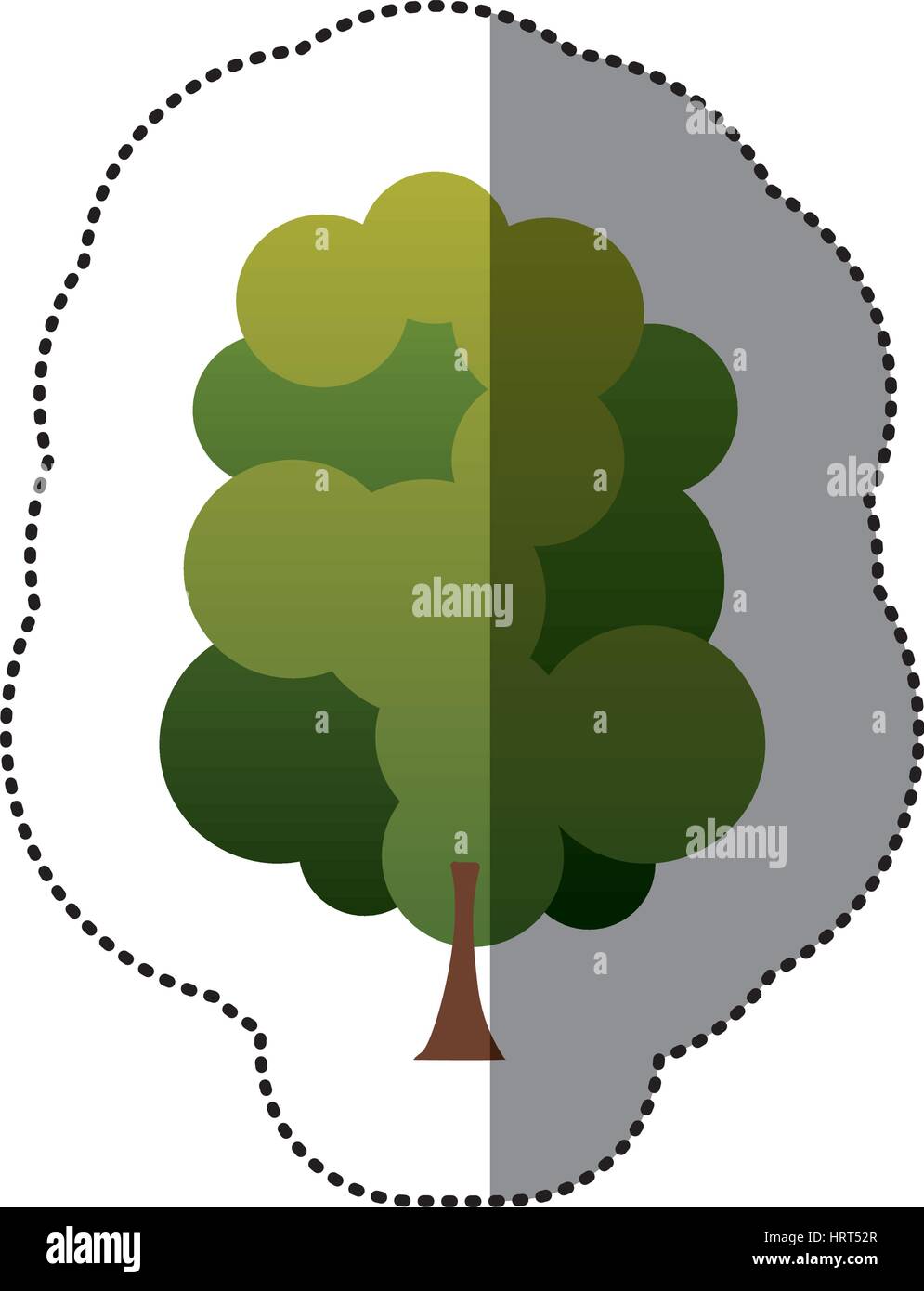 Birch tree color line Stock Vector Images - Alamy