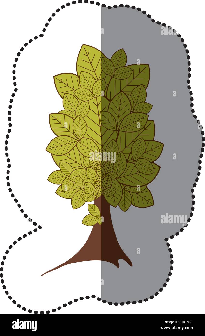 Sweet lime tree Stock Vector Images - Alamy