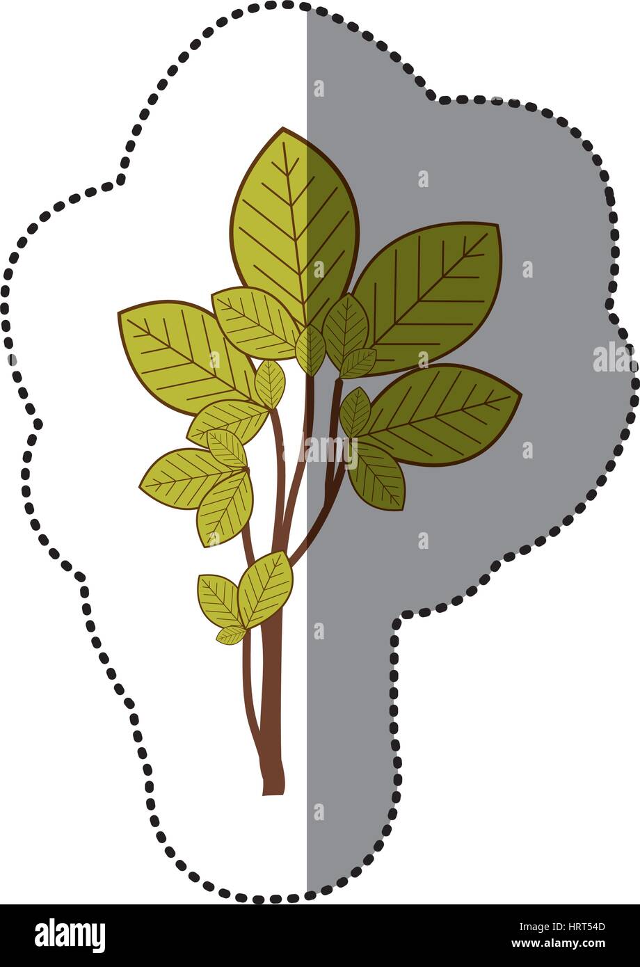 Lime tree silhouette Stock Vector Images - Alamy