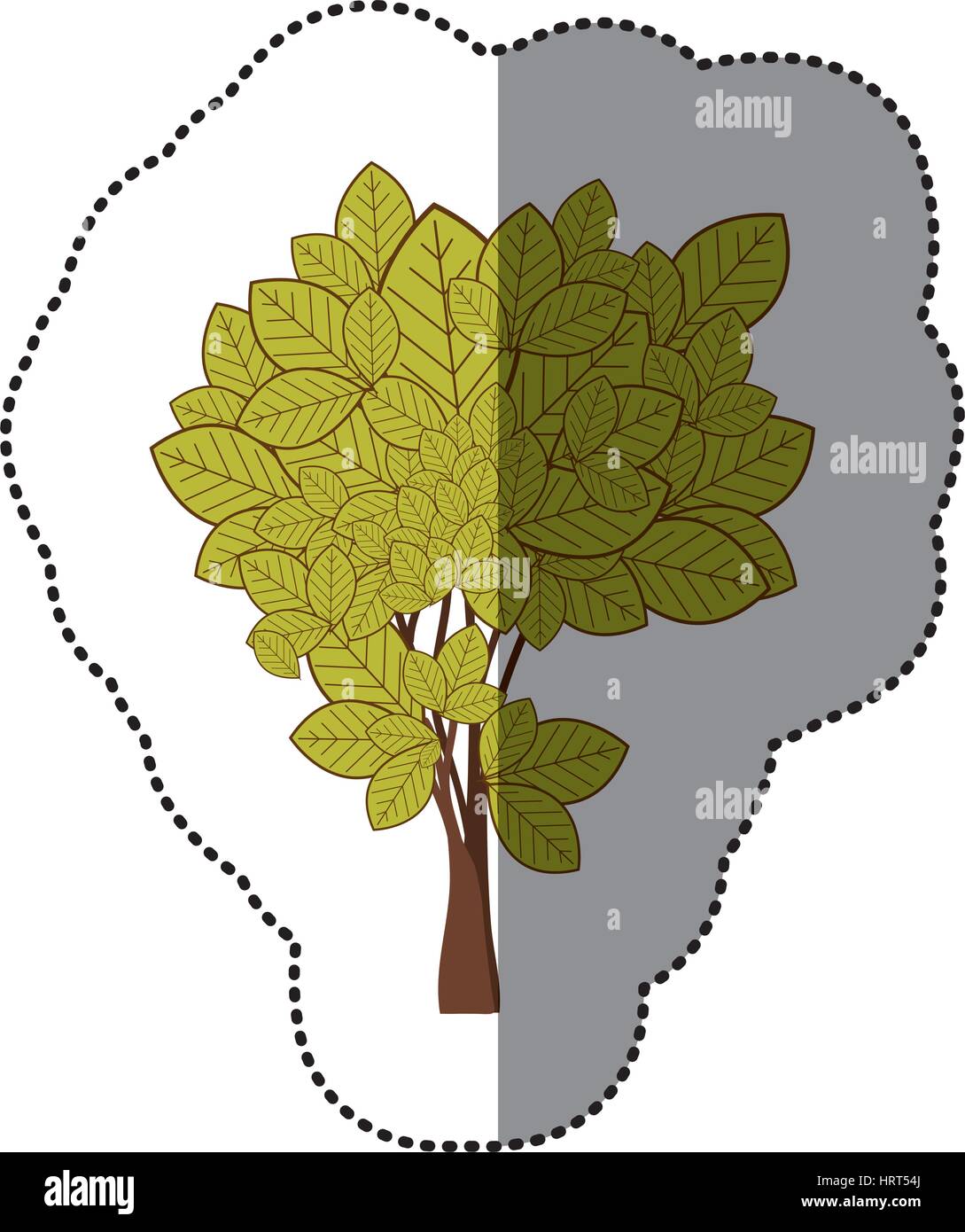 Lime tree colorful Stock Vector Images - Alamy