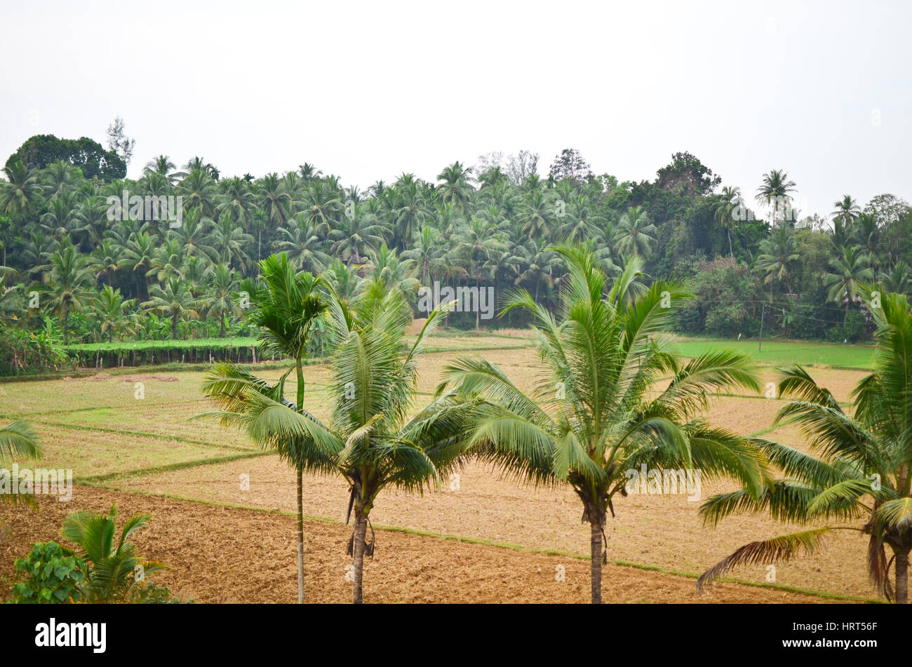 Landscape of rural India. Scene of Goa - Kundapur sector captured ...