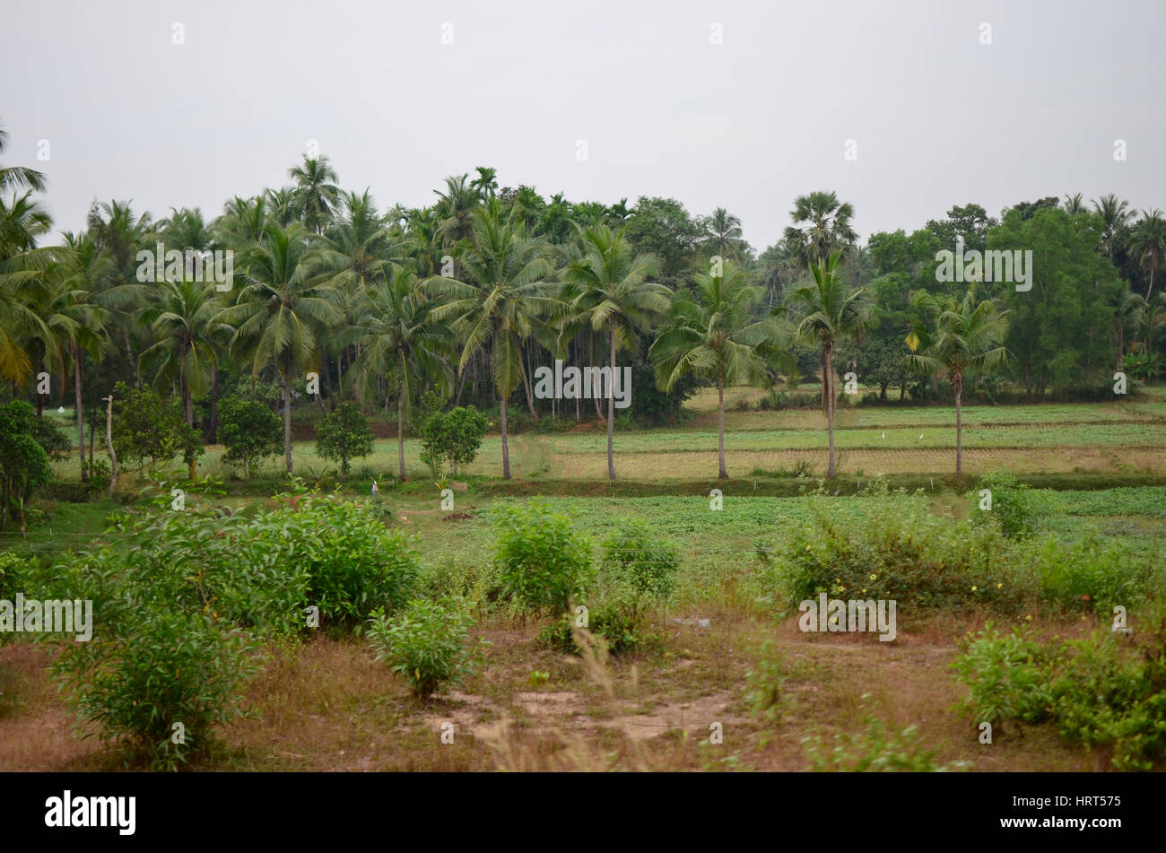 Landscape of rural India. Scene of Goa - Kundapur sector captured ...