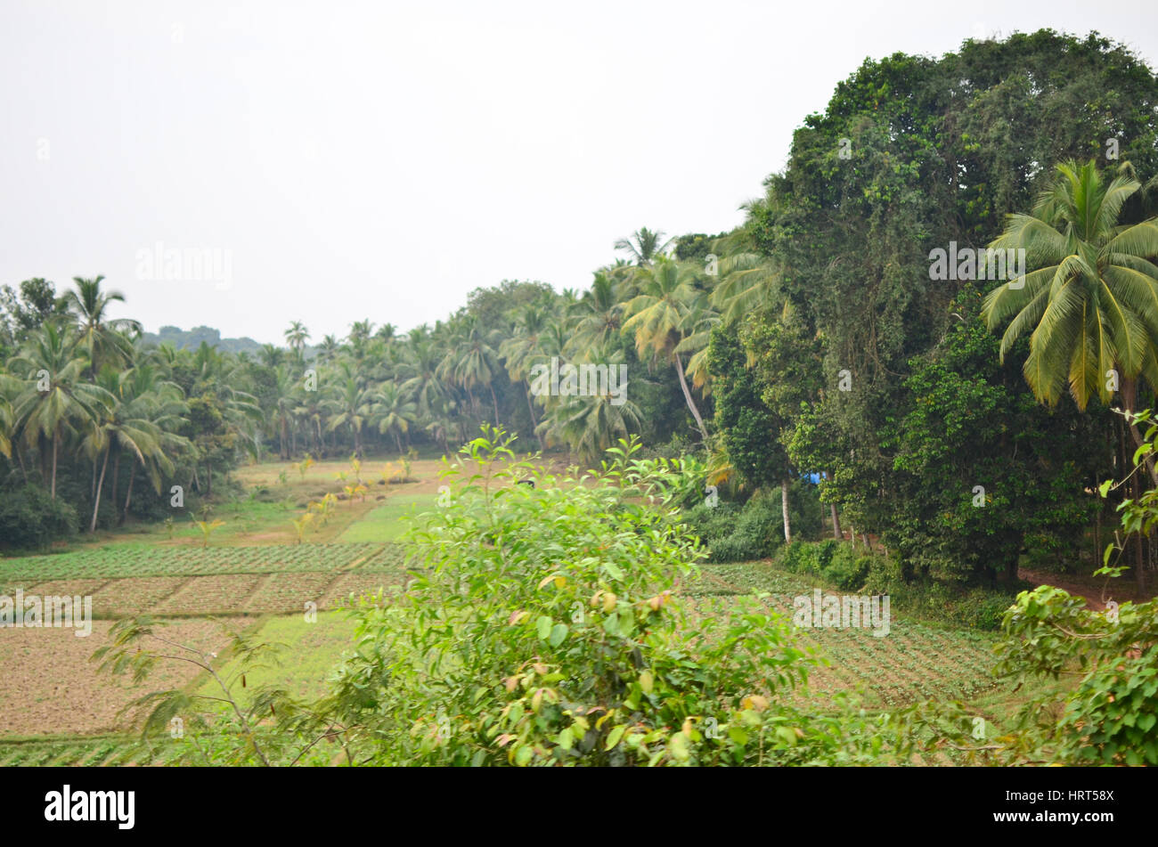 Landscape of rural India. Scene of Goa - Kundapur sector captured ...