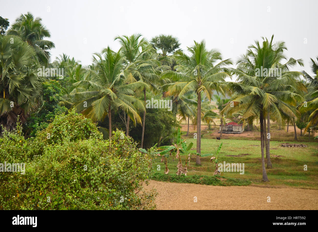 Landscape of rural India. Scene of Goa - Kundapur sector captured ...