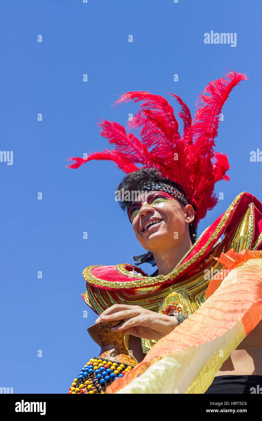 Man dressed brazilian carnival dancer hi-res stock photography and ...
