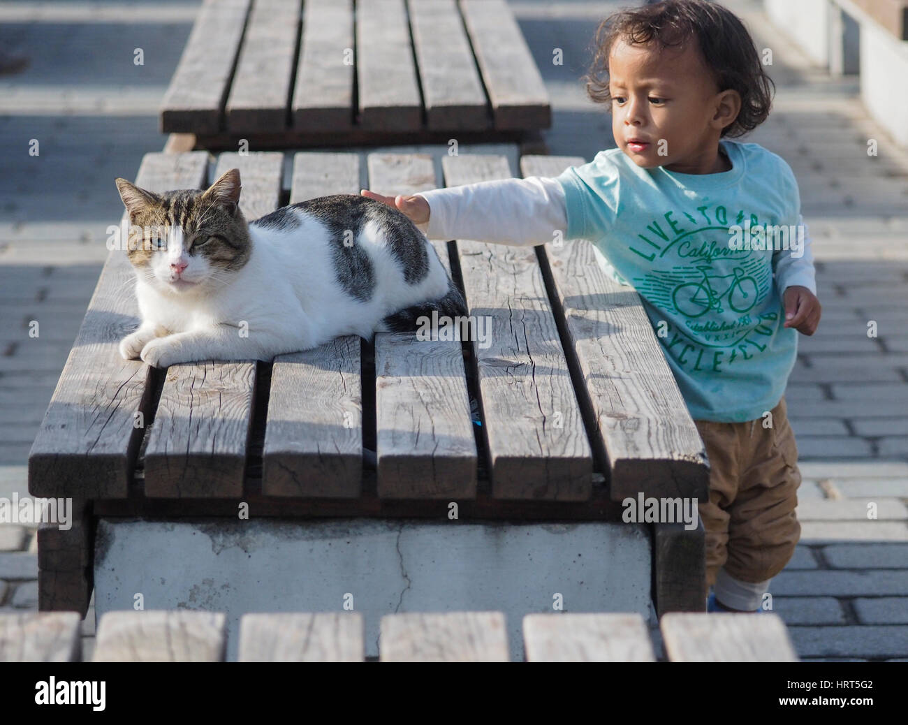 Bench benches hi-res stock photography and images - Alamy