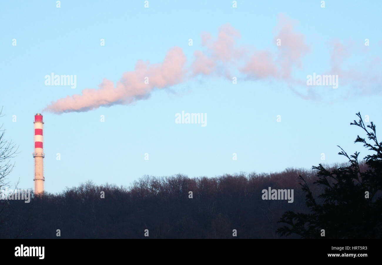 Smoking chimney over forest and trees clear sky Stock Photo - Alamy
